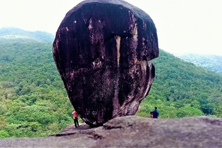 Bheemana Buguri – An incredible Black beauty in the backdrop of green ...